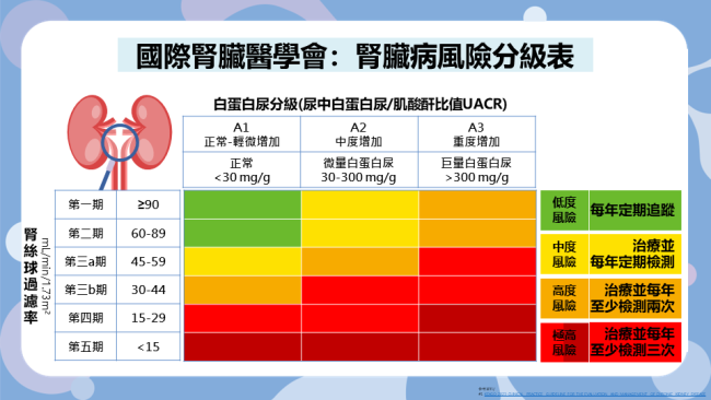 慢性腎病治療關鍵 腎臟學會：新用藥、調整生活型態